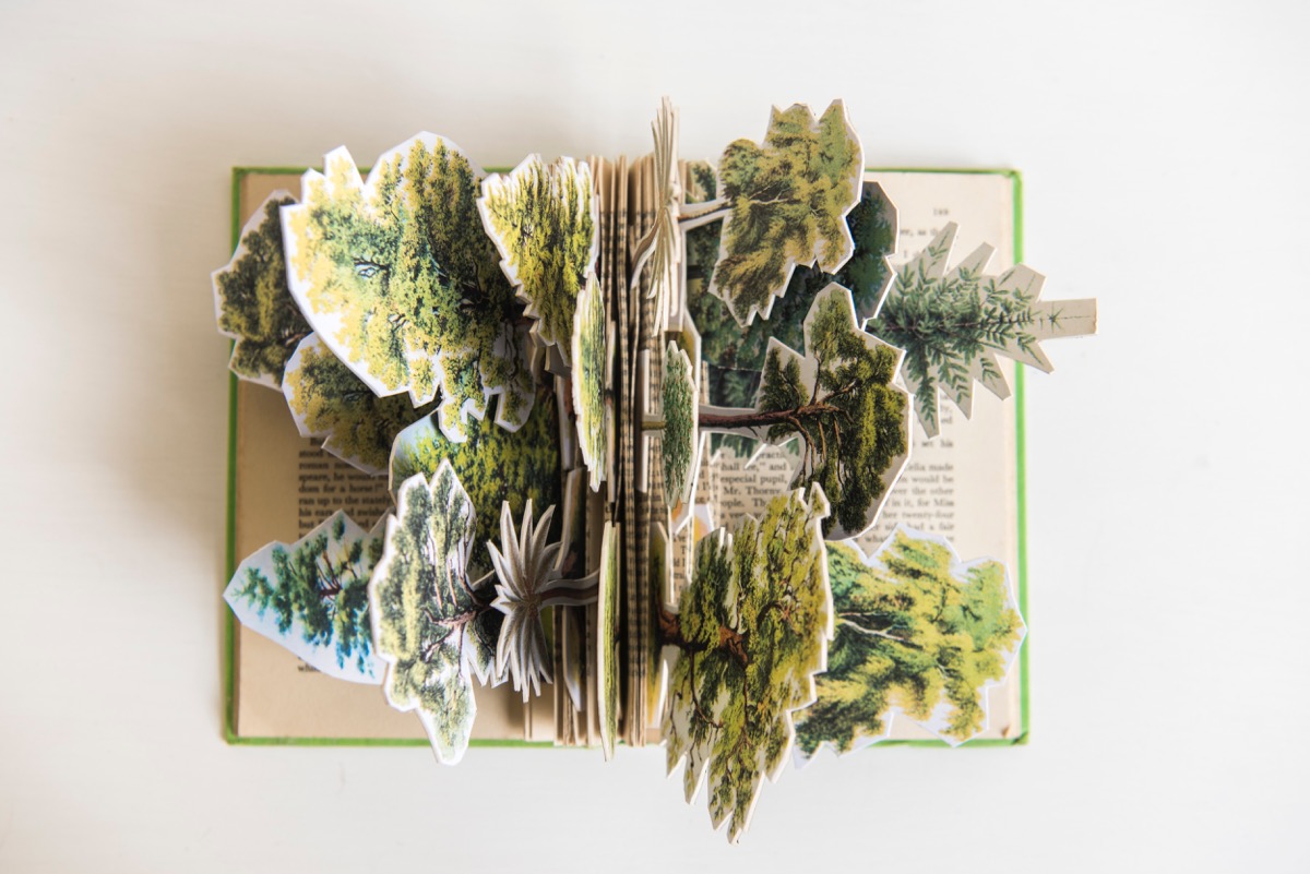 Emily Tracy - London based public artist & participatory projects